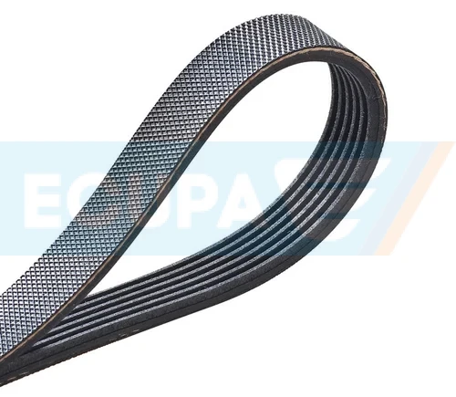 Multiribbed belt | EG.13.8PK1580 | ECUPA